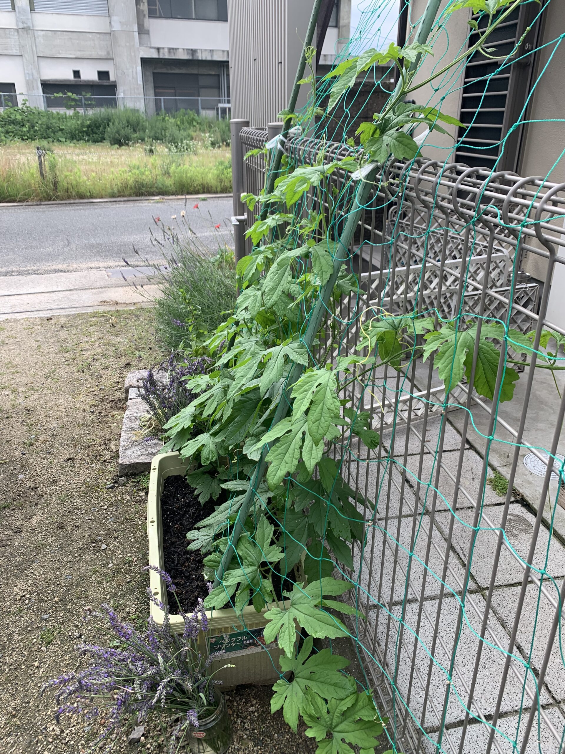 IMG_5160 | 株式会社ガスマック広島 GASMAC